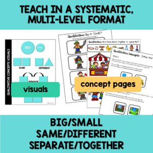 Qualitative Concepts Speech Therapy NO PREP | Allison Fors, Inc.