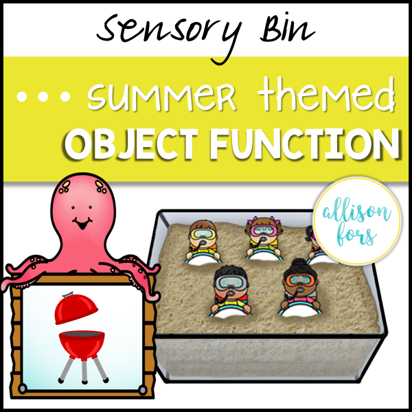 Sensory Bin: Summer Object Function | Allison Fors, Inc.
