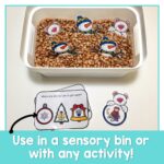 Sensory Bin: Seasonal Object Function Bundle | Allison Fors, Inc.