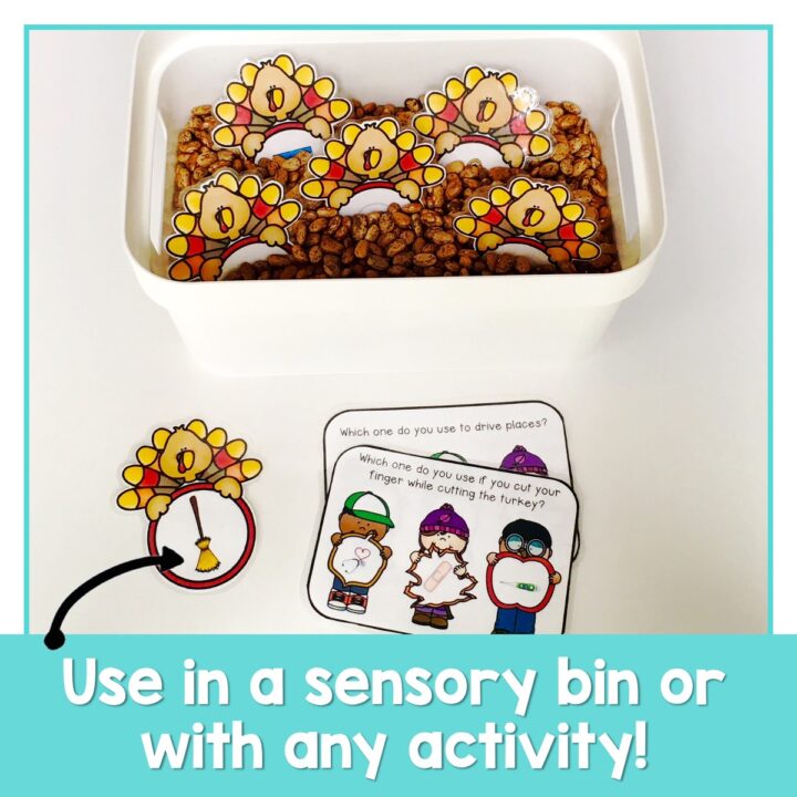 Sensory Bin: Fall Object Function | Allison Fors, Inc.