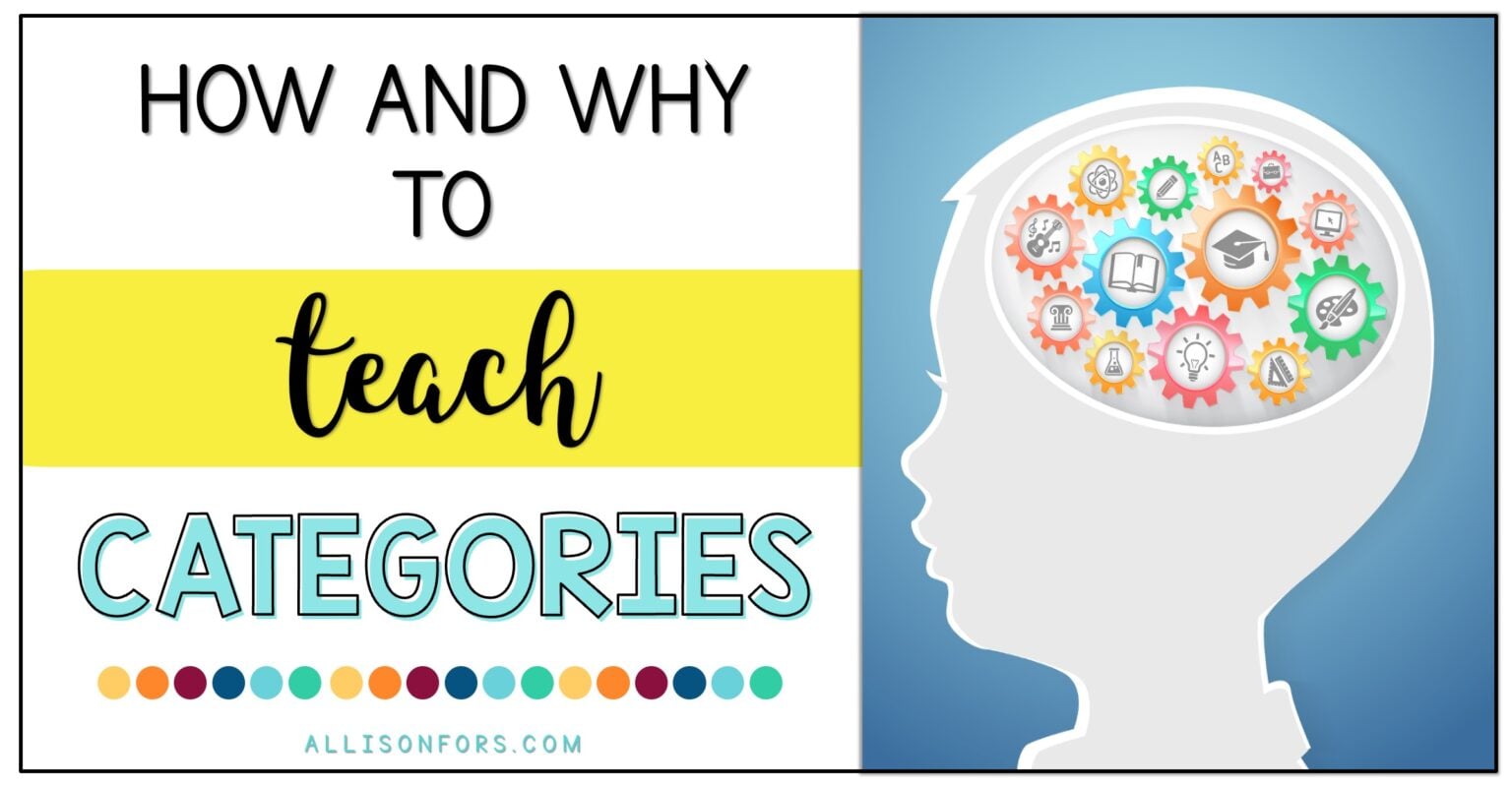 How and Why to Teach Categories in Speech Therapy