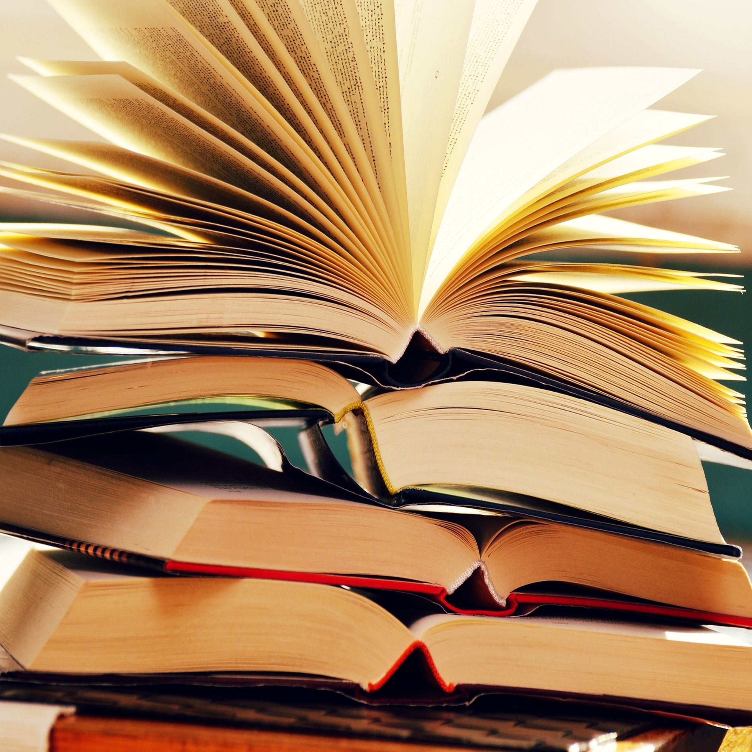 Books Language Allison Fors Books Language Allison Fors
