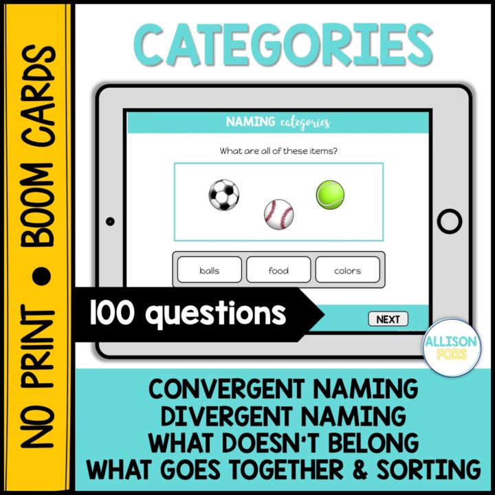 How and Why to Teach Categories in Speech Therapy