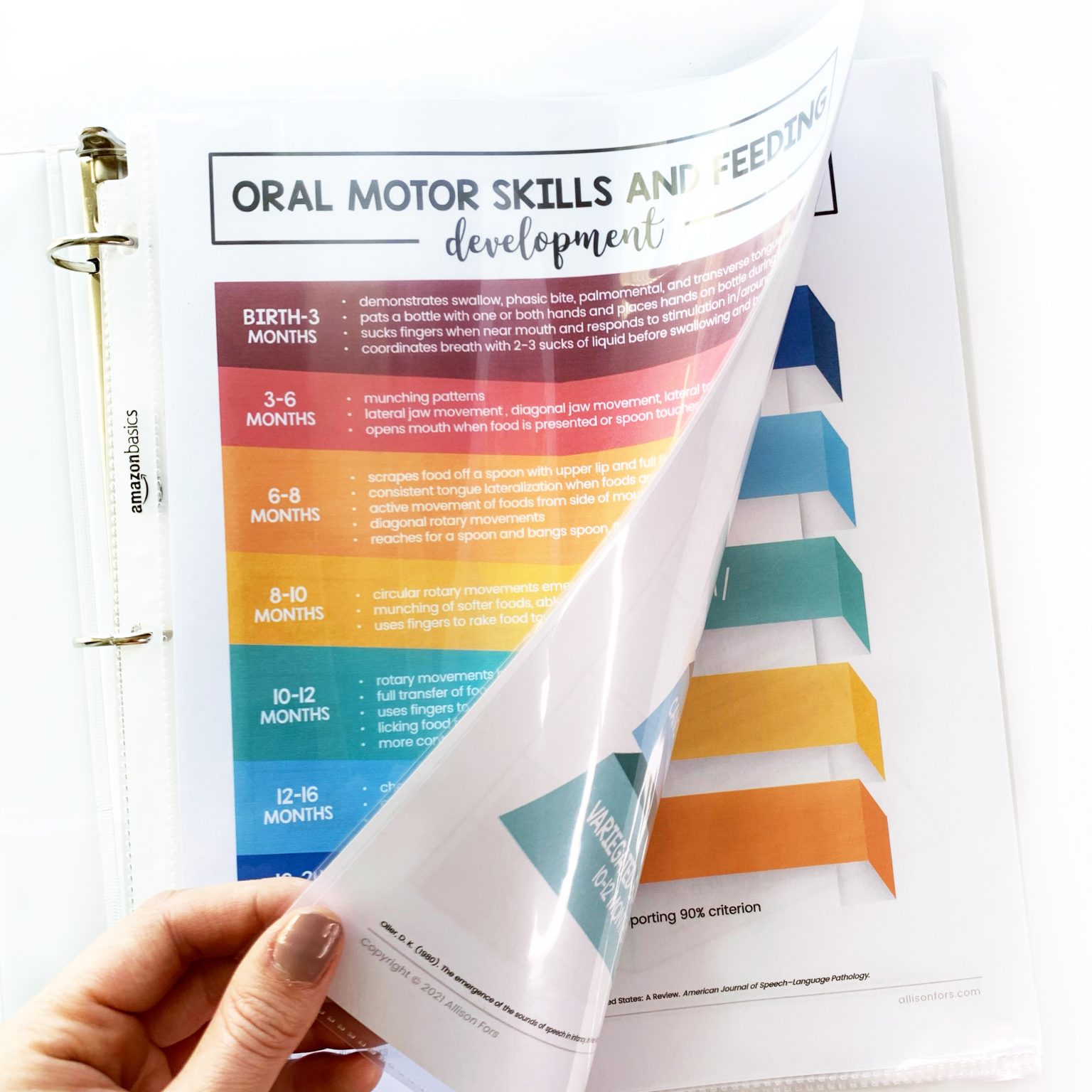 Speech-Language Development Charts, Handouts, and Developmental ...