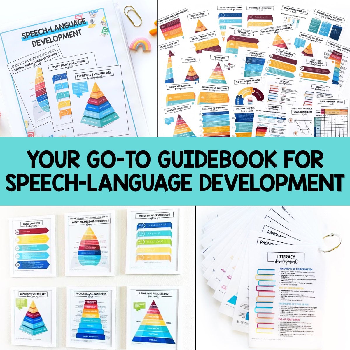 Speech-Language Therapy Development Handouts, Charts, & Developmental ...