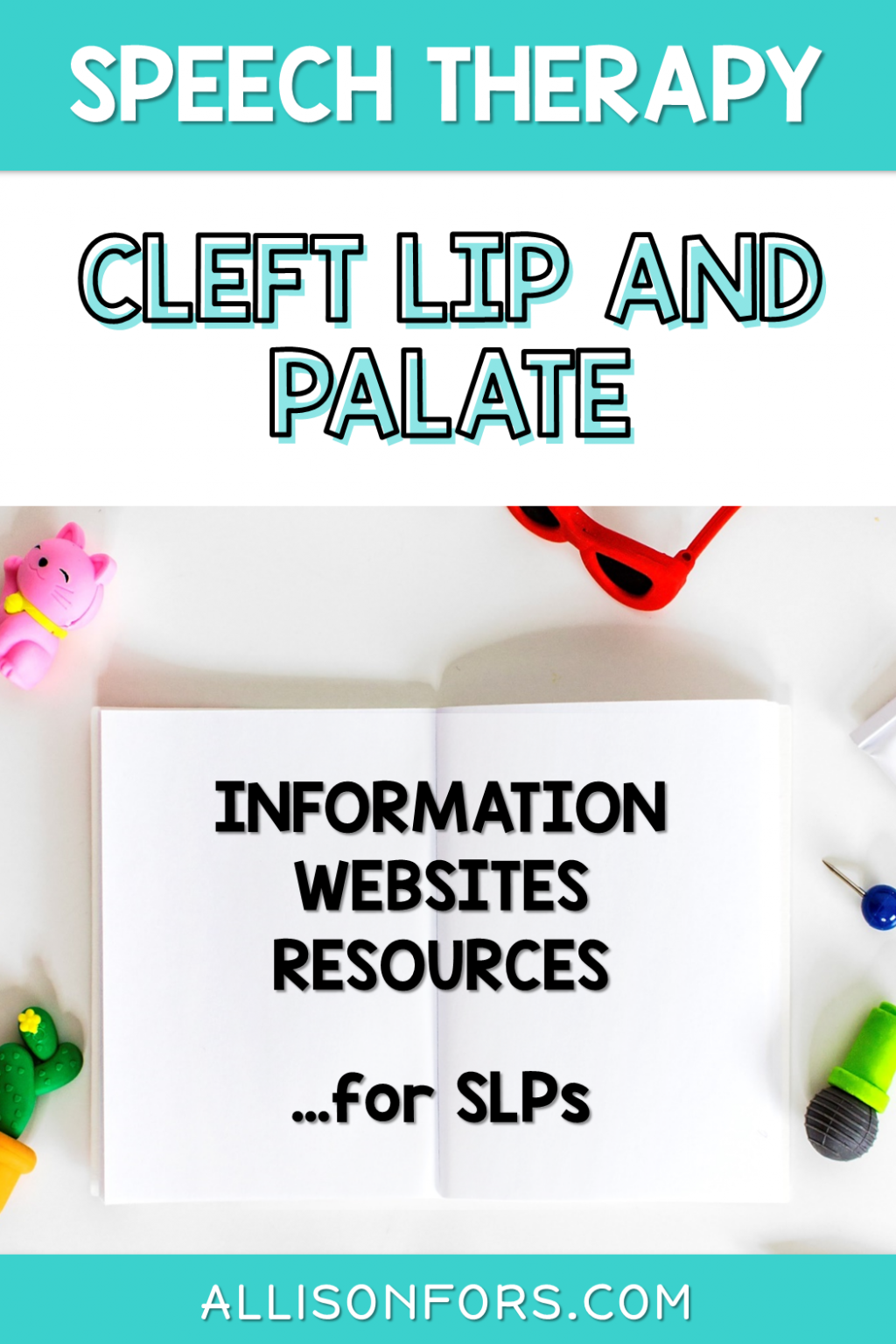 Cleft Lip and Palate Speech Therapy Intervention | Allison Fors