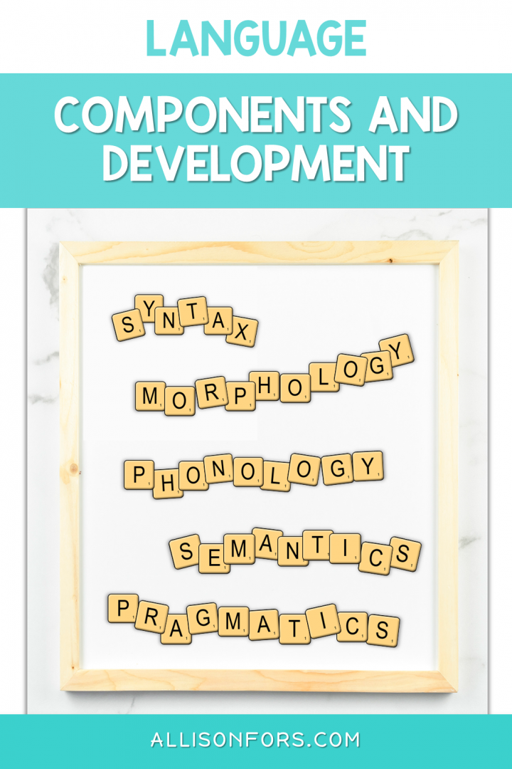 The 5 Components and Development of Language