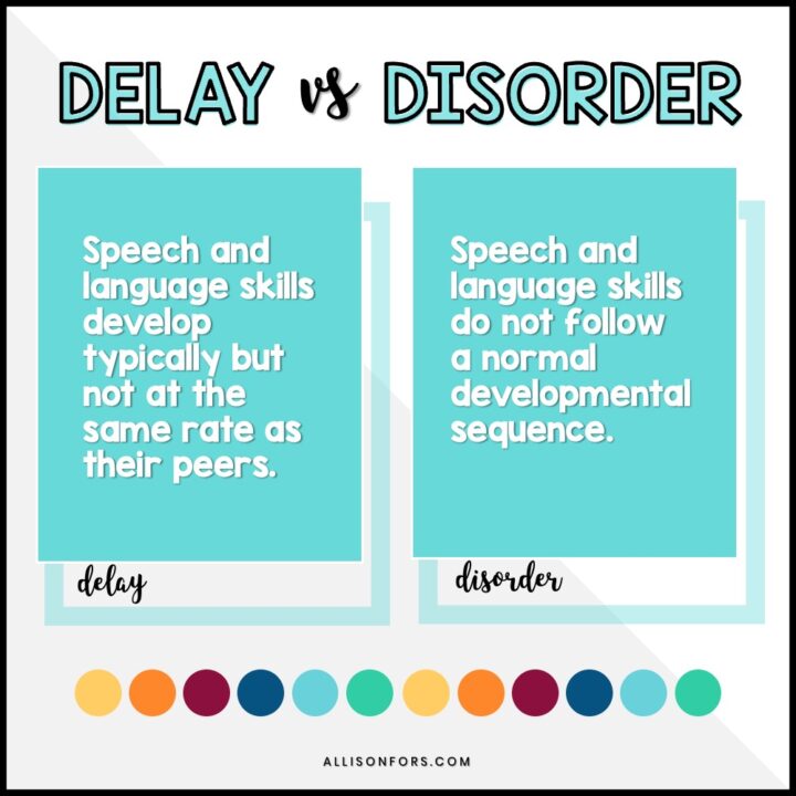 The Difference Between a Delay and a Disorder | Allison Fors, Inc.